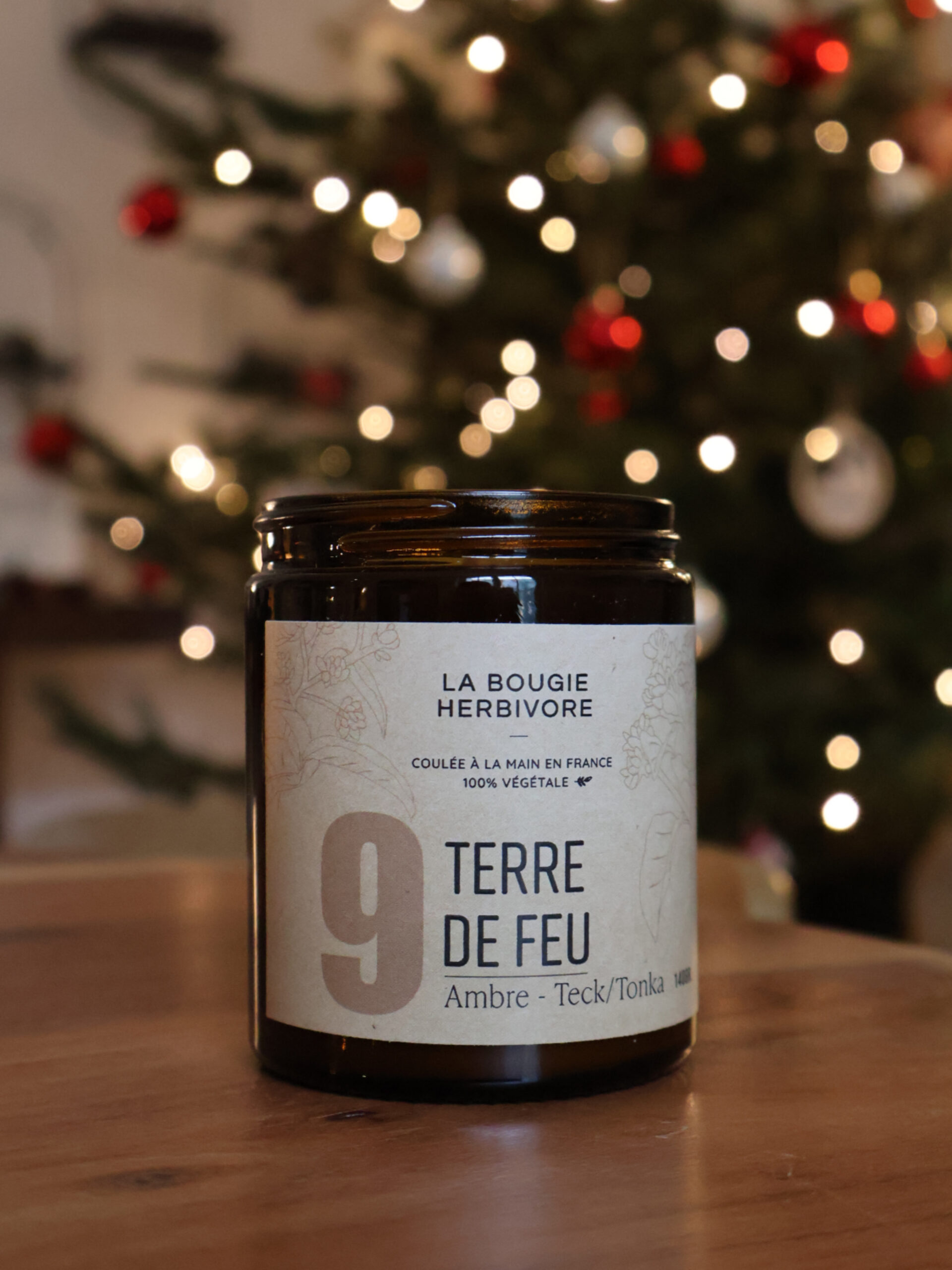 Bougie - Terre de Feu, Ambre & Teck/Tonka - Panoplie